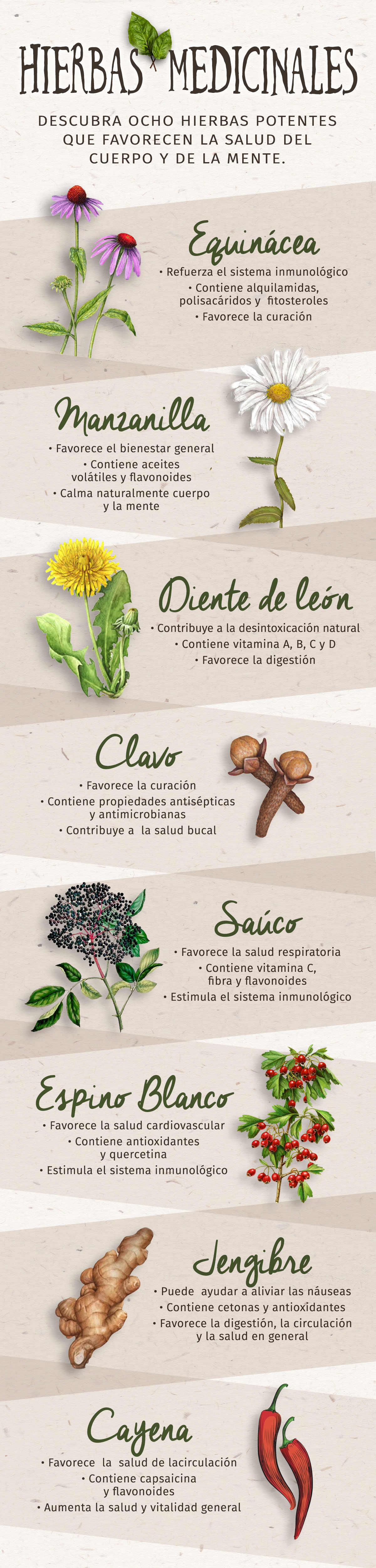 Blog Santé et Bien-être / ES_Herb_Infographic - Blog Santé et Bien-être