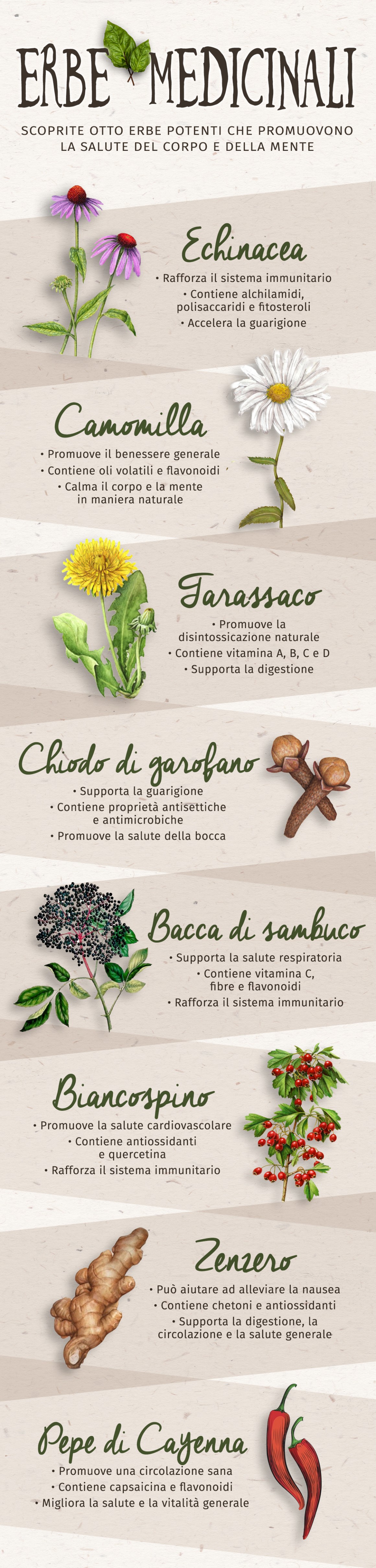 Blog Santé et Bien-être / IT_Herb_Infographic - Blog Santé et Bien-être