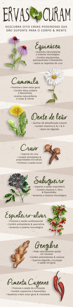 Blog Santé et Bien-être / PT_Herb_Infographic - Blog Santé et Bien-être