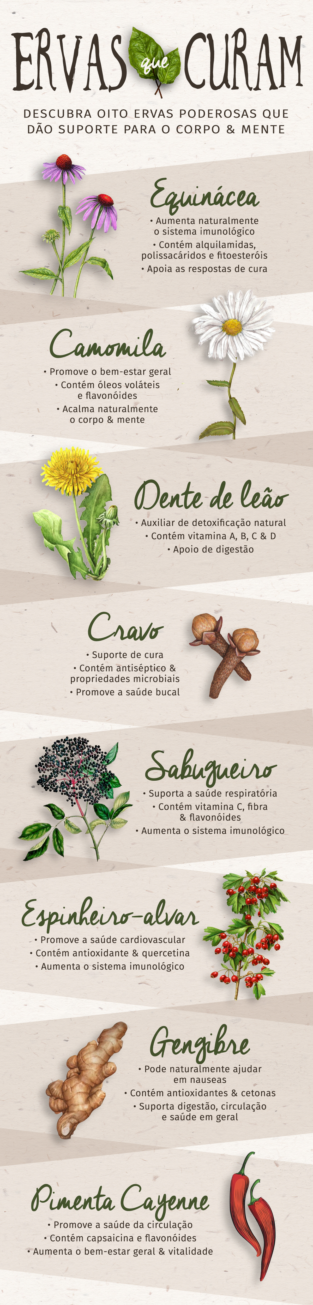 Blog Santé et Bien-être / PT_Herb_Infographic - Blog Santé et Bien-être